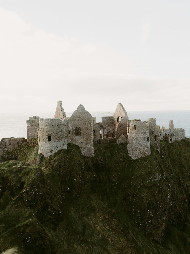 Stories | Oasis India